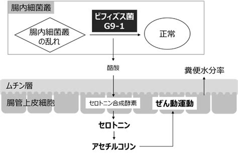 たかが便秘、されど便秘。70代以降で増える便秘には要注意！ 大正製薬株式会社
