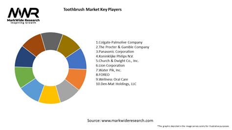 Toothbrush Market Size Share Trends Analysis And Forecast 20252034 2025 2034 Sizeshare