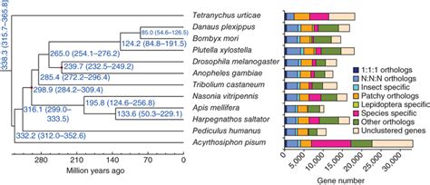 Phylogenetic Relationships And Genomic Comparison Of 12 Species Of