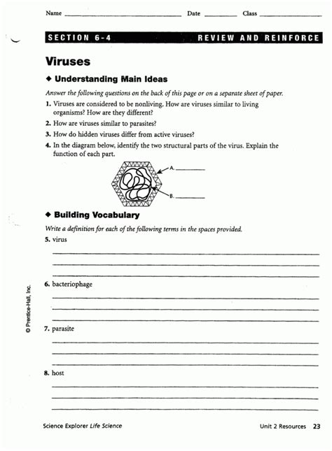 Worksheet Bacteria Worksheet Bacterial Cell Worksheet Pdf — Db