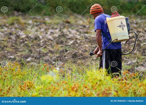 Luwu Indonesia February 18th 2017 Farmers Spraying Pest Poison In