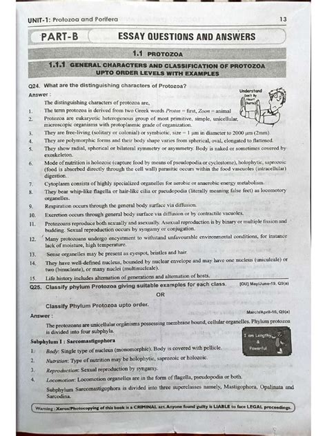 Protozoa Classification Pdf