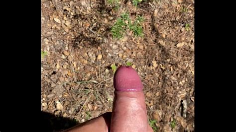 Cum Forest Xxx Mobile Porno Videos Movies Iporntv Net