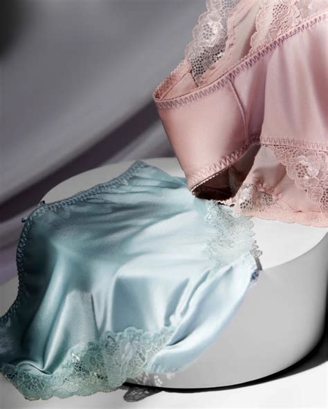 Womens Lace And Silk Underwear Panties Briefs Daisysilk