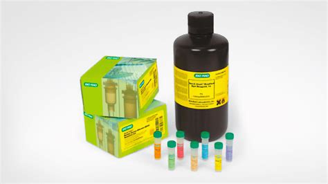 蛋白表达鉴定定量 Bio Rad