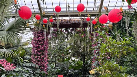 Kew Gardens Orchid Festival 2026