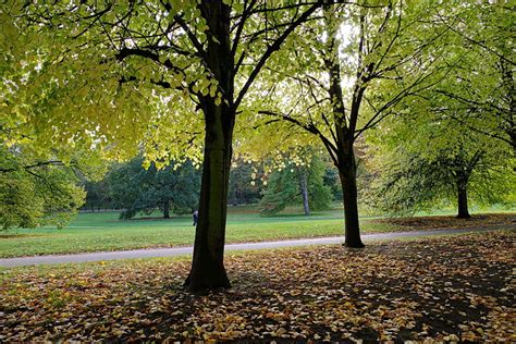 Autumn Takes Over In Londons Green Park 23 Photos Shot With The Ricoh