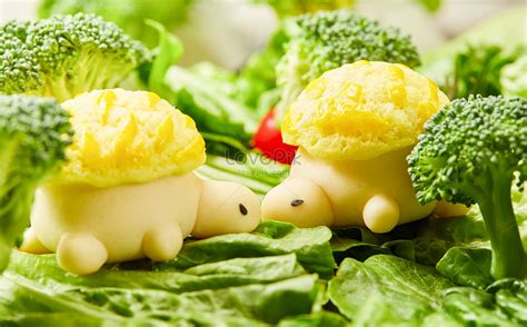 Turtle Snack Images Hd Pictures For Free Vectors Download