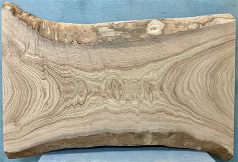 D 233 クスノキ 12100円（税込） 木の看板 素材一覧