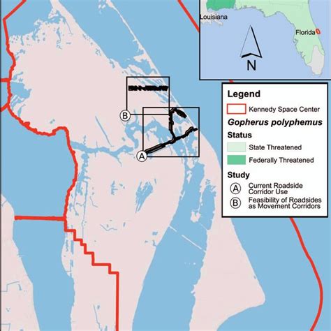 Map Of Gopher Tortoise Range Highlighting Their Conservation Status In