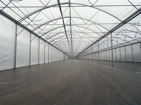 Neubau Von Einem Richel Folienblock Typ 8sr 2 Schiffe T I G Gewächshausbau Gmbh And Co Kg