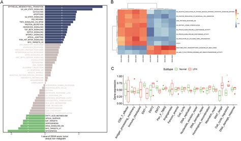 Enrichment Analysis Of Gsva A B Gsva Enrichment Analysis Of