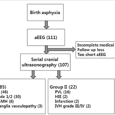 Flow Diagram Shows Patient Categorization Among 111 Patients Serial