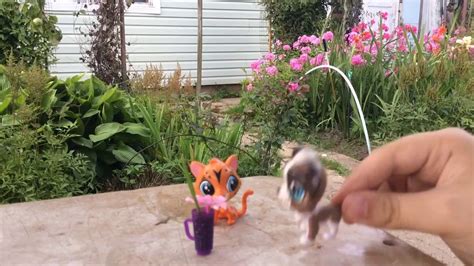 Pictures Of Kitty Fox