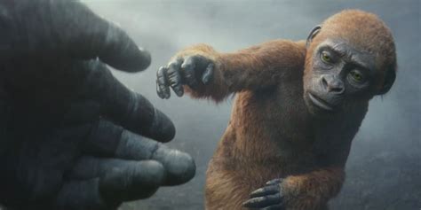 Godzilla X Kong New Empire Every Kaiju In The Movie