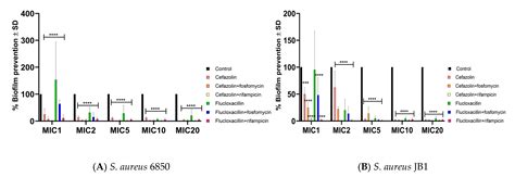 Ijms Free Full Text The Controversial Effect Of Antibiotics On Methicillin Sensitive S