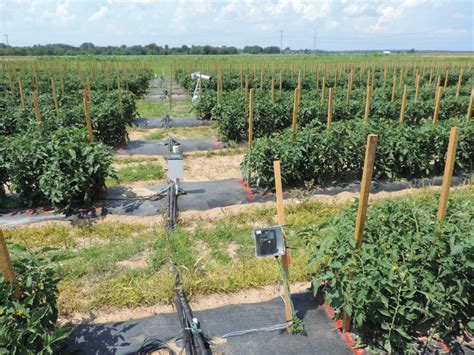 Internet Based Precision Irrigation System Shows Promise For Fresh