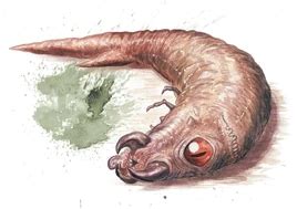Roper Forgotten Realms Wiki Fandom