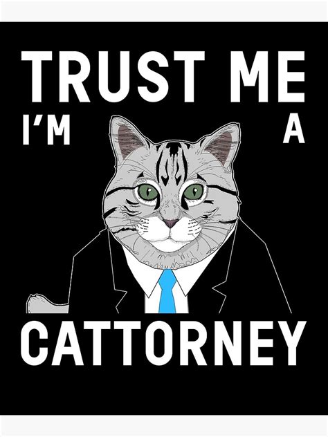 Lawyer Cat Teams At James Marts Blog
