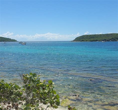Vieques Island All You Should Know Before Going 2026 Reviews