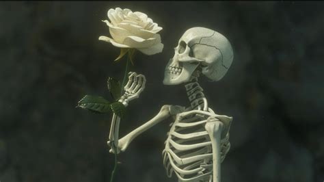 Premium Photo Human Skeleton Holding White Rose Flower