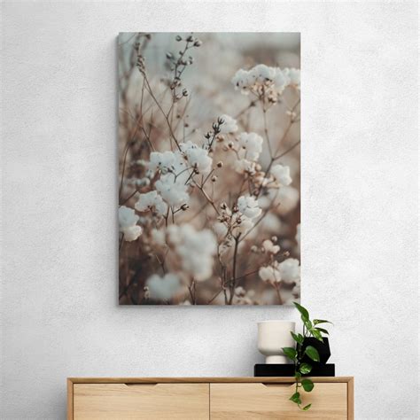 Slika Biljka Pamuka Dovido Hr