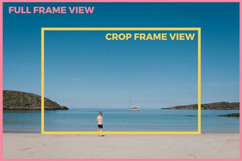 Nikon Dx Vs Fx Lens Format What Is Better