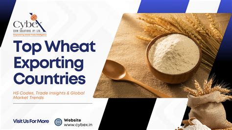 Top Wheat Exporting Countries Hs Codes And Global Trade Trends