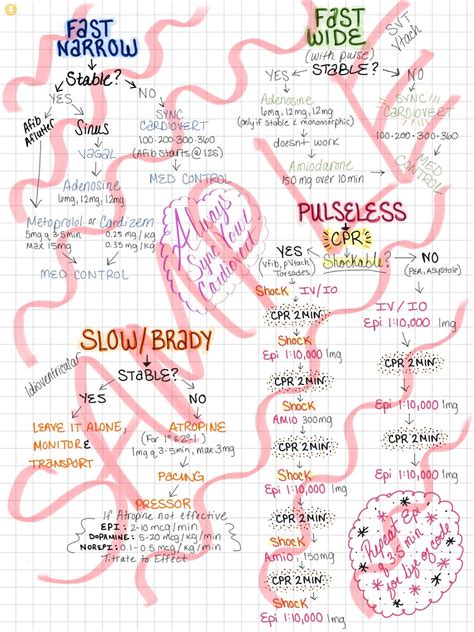 Paramedic Acls Notes Etsy