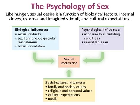 Chapter 5 Gender And Sexuality Power Point Presentation