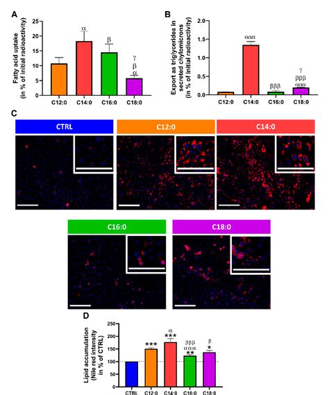 Figure 1 From Saturated Fatty Acids Differently Affect Mitochondrial Function And The Intestinal