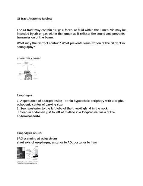 Gi Tract Anatomy And Sonography Review Notes Course Code Git 101