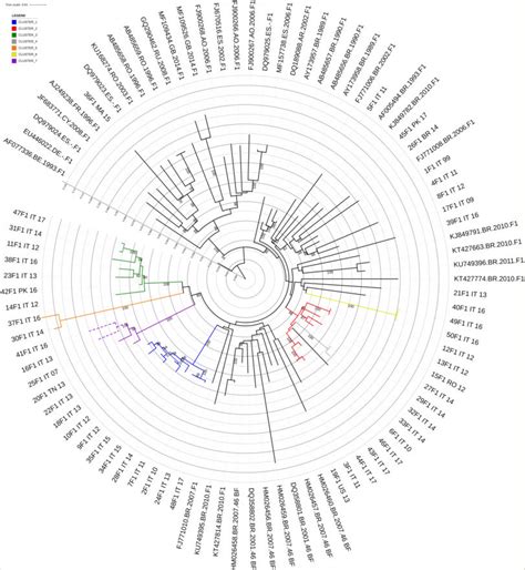 Phylogenetic Inference Derived From Sequence Analysis Of The Subtype Download Scientific