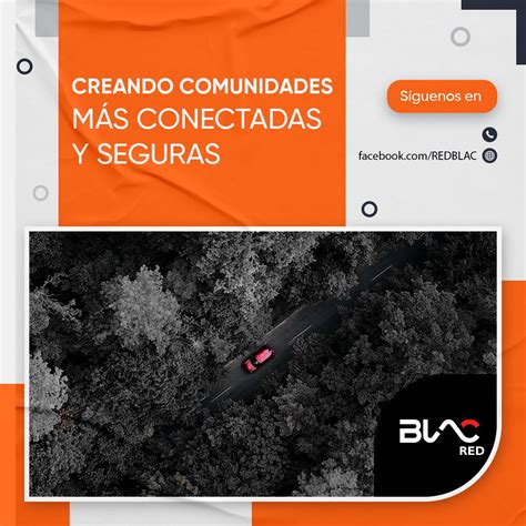 Fernanda De Alba Posted On Linkedin