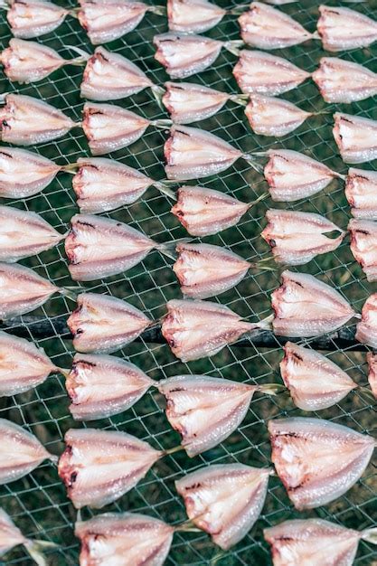 Premium Photo High Angle View Of Drying Fish