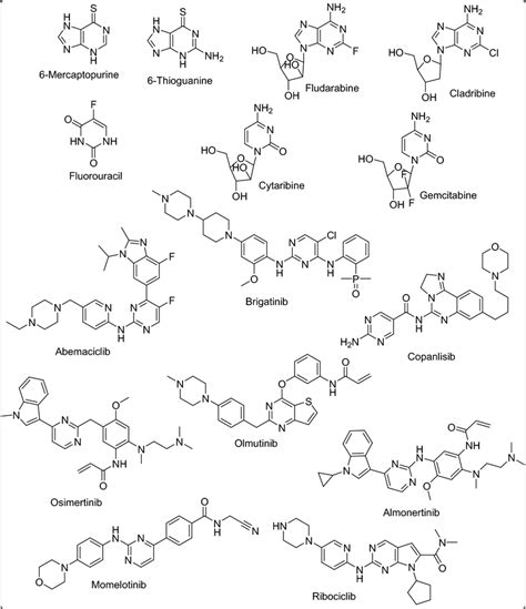 Chemical Structure Of The Approved Purine And Pyrimidine Based