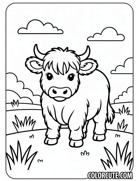Realistic Highland Cow Coloring Pages Free Pdf Printables Color