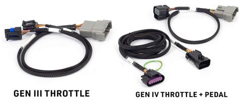 Haltech Nexus Rebel Ls Ecu And Harness