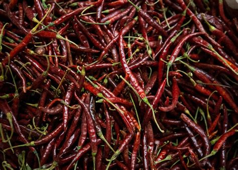 Curiosidades Sobre Zacatecas Primer Productor De Chile A Nivel
