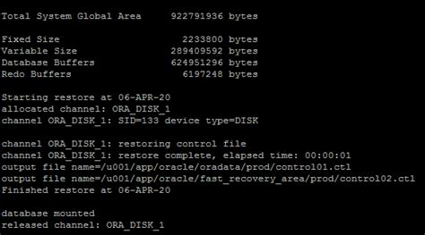 Performing Oracle Database Point In Time Recovery Using Rman Set Until Time