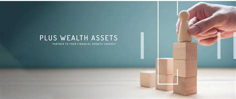 Pluswealth Assets Linkedin