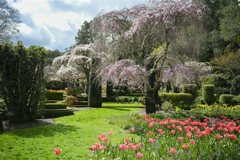 Filoli Historic House And Garden Tickets