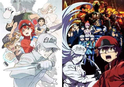 Cells At Work Season 2 Dub