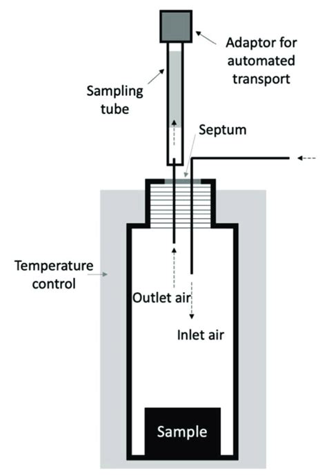 Schematic Representation Of The Dynamic Headspace Dhs Apparatus