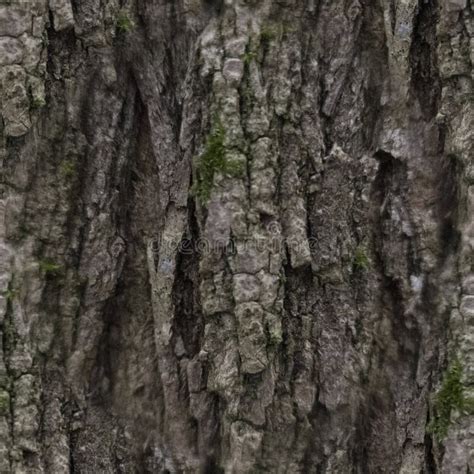 Grey Wood Background Tree Bark Close Up Wood Gray Texture Seamless Image Stock Image Image