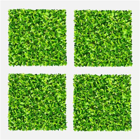 Set Of Green Grass Realistic Green Lawn Pattern And Texture For