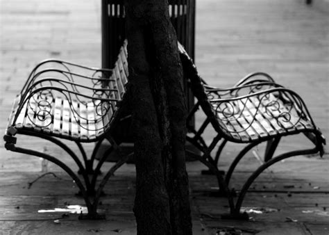 Daniel Grey Photography