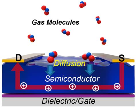 Enhancing Sensitivity In Gas Detection Porous Structures In Organic