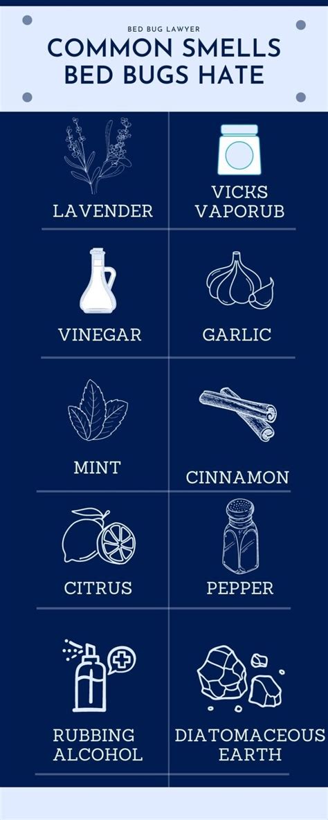 What Do Bed Bugs Hate Scents That Repel Bed Bugs