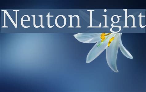 Neuton Light Font